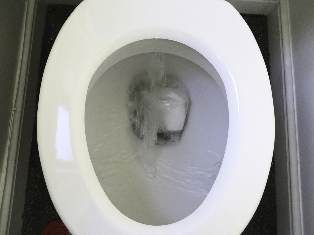 Stool sample test | biodegradable flushable collection bag